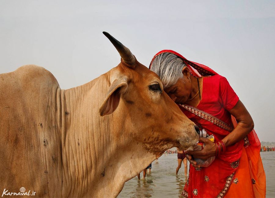 حقایقی غیرقابل باور در مورد هندی ها | آنچه که تنها در هند می بینید ☀️ ...